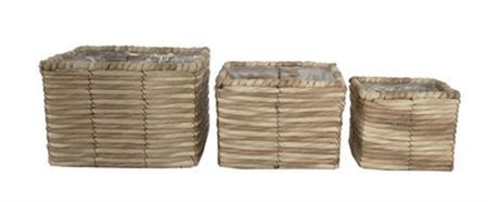 Baskets (su)