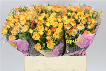 Roses Spray
